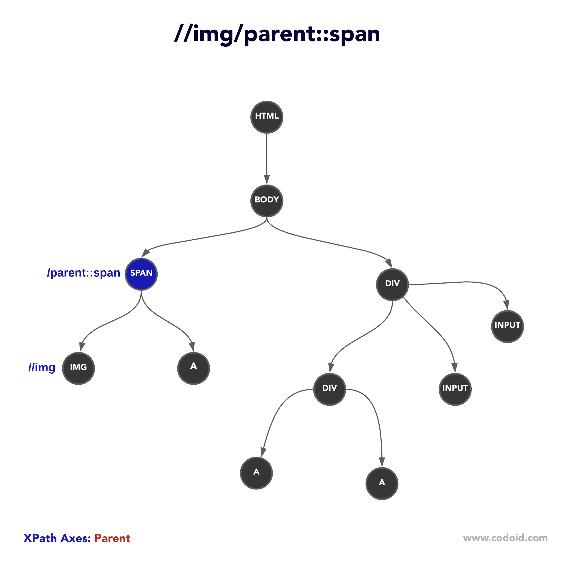 How to use XPath Axes in Selenium Webdriver - Codoid