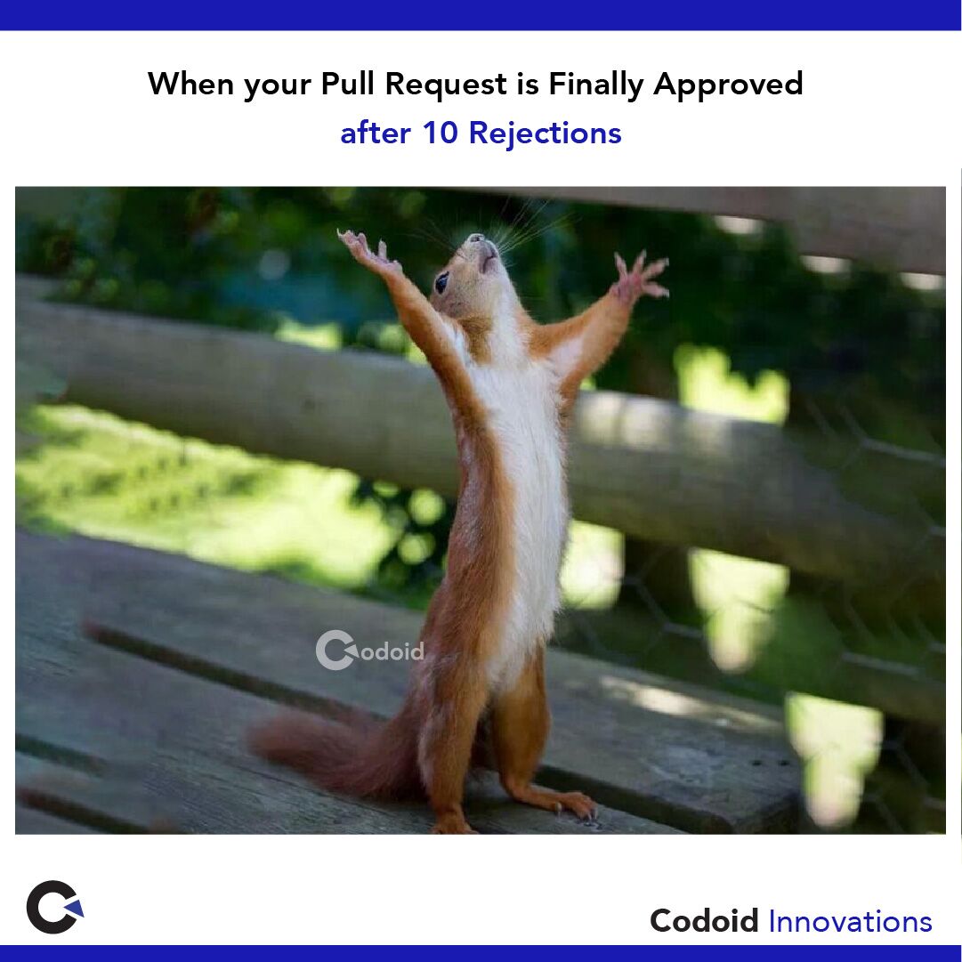 Software Testing Memes that Testers will Love - Codoid