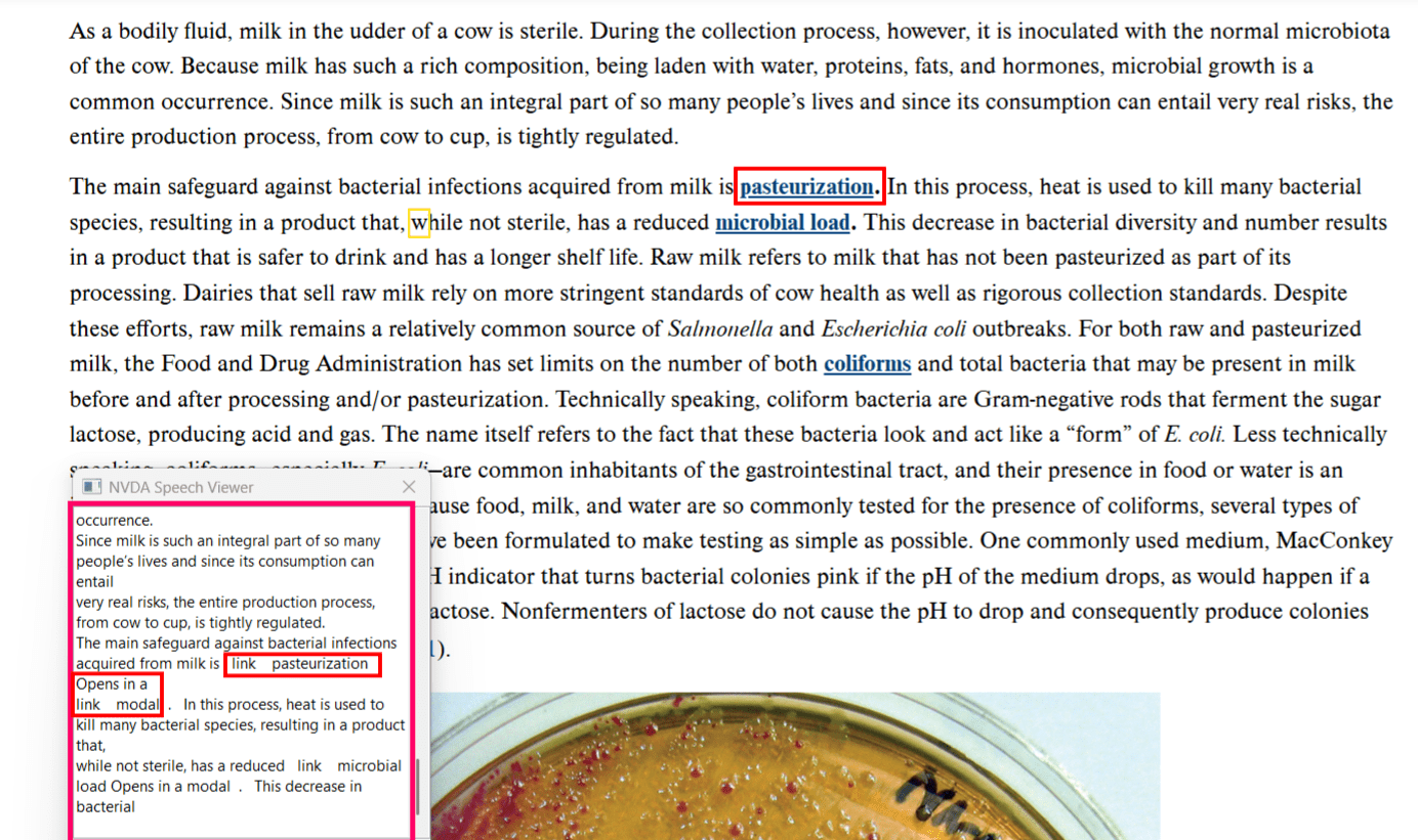 NVDA Guide: Essential Tips for Accessibility Success - Codoid